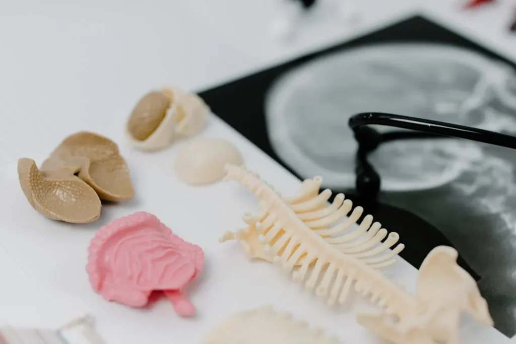 ICD-10-PCS | 0HBCXZX | Excision of Left Upper Arm Skin, External ...