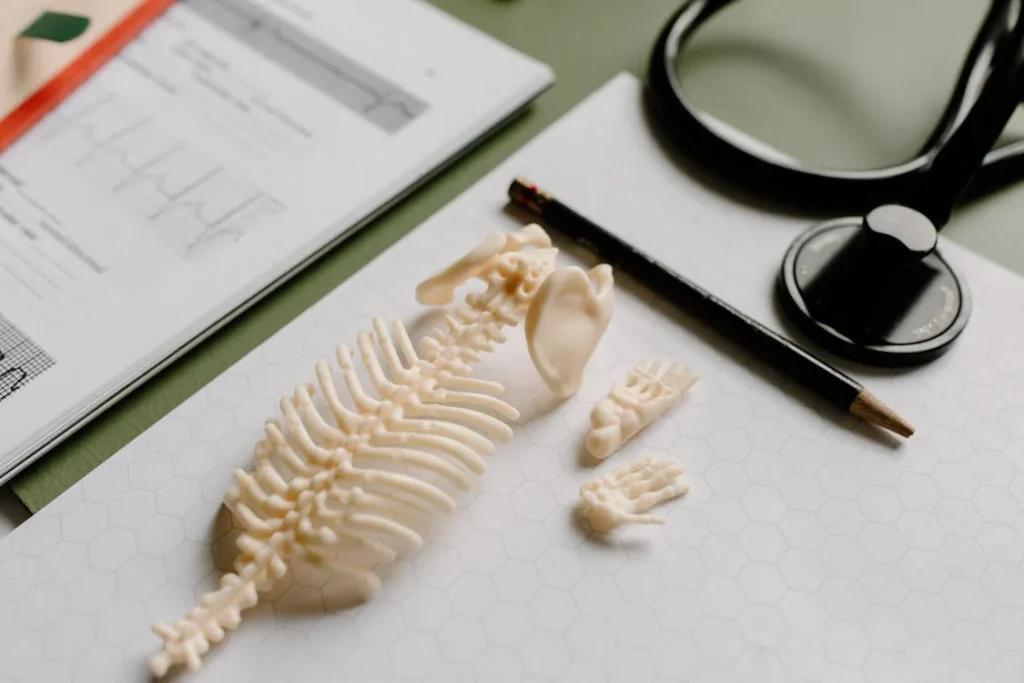 ICD-10-PCS | 0210089 | Bypass Coronary Artery, One Artery from Left ...